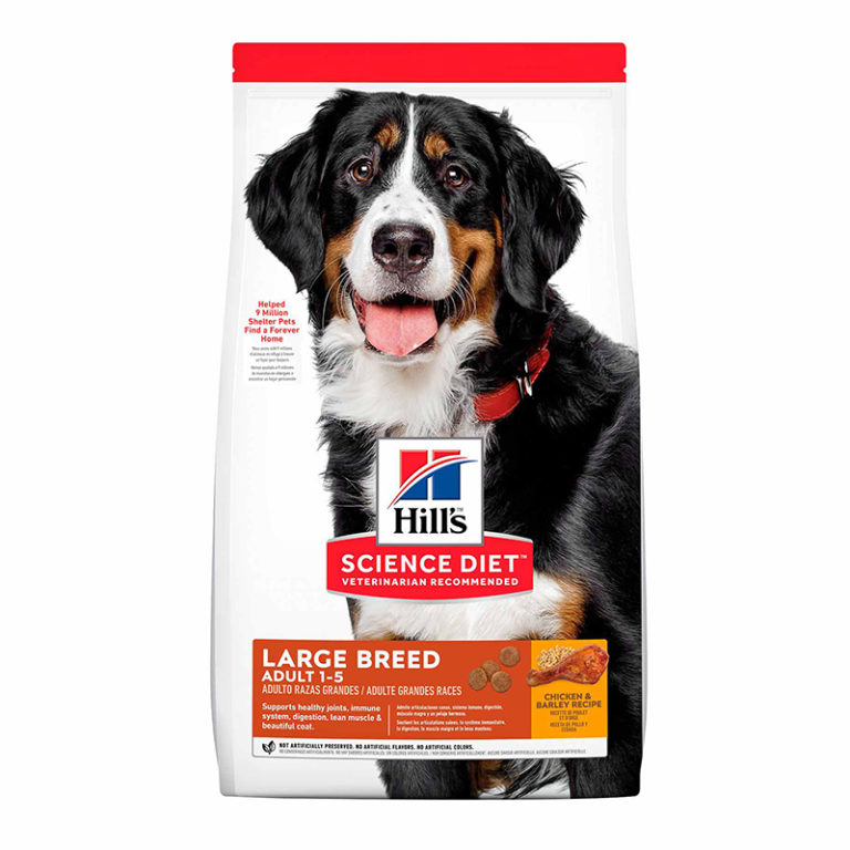 Hill’s Science Diet Adult Large Breed Lamb & Rice 33 lb – PetCare