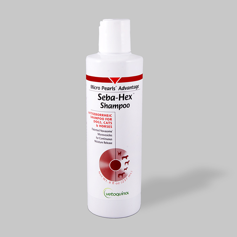 Seba Hex Shampoo x 8oz – PetCare